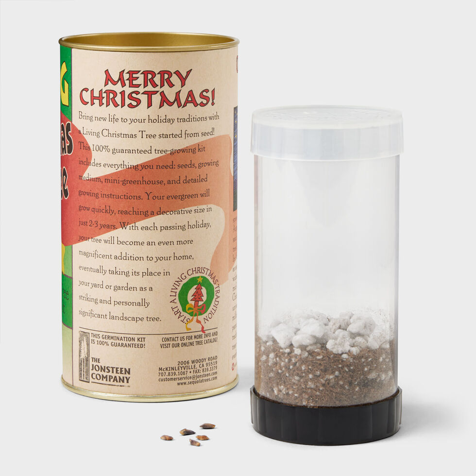 Christmas Tree Growing Kit | Duluth Trading Company