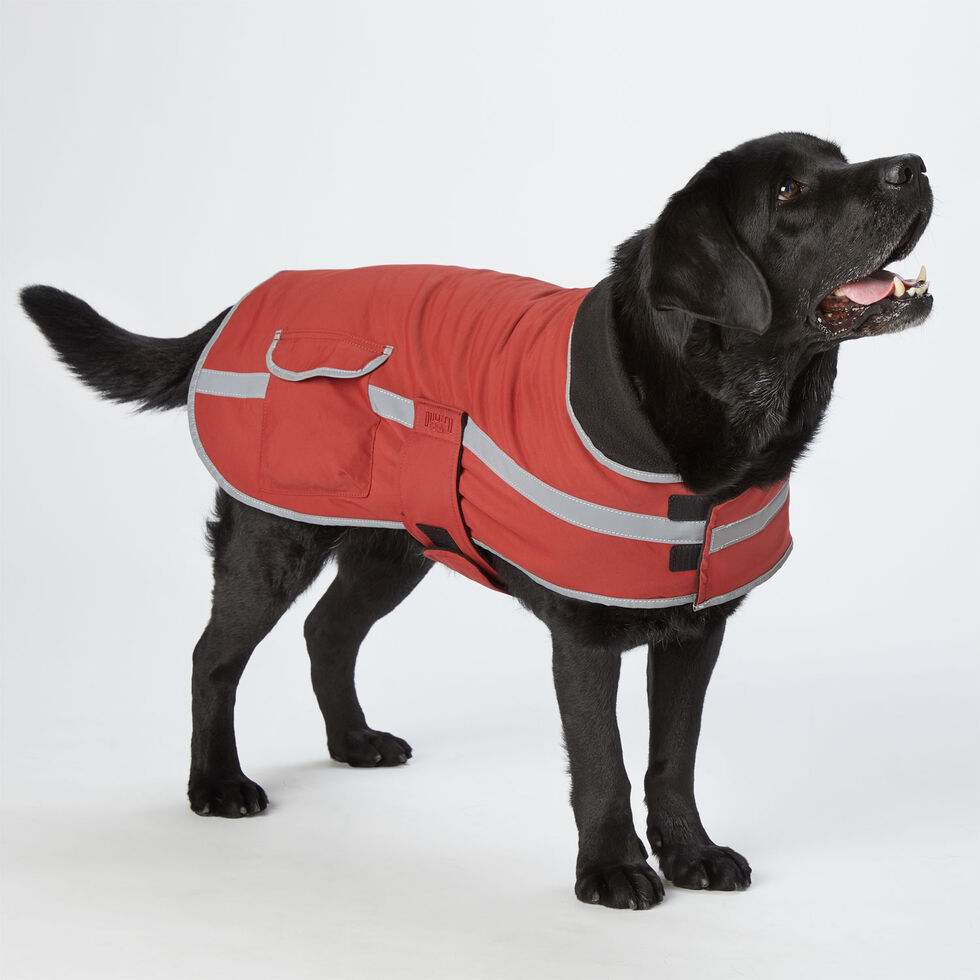 Grab Dog Jacket | Duluth Trading Company
