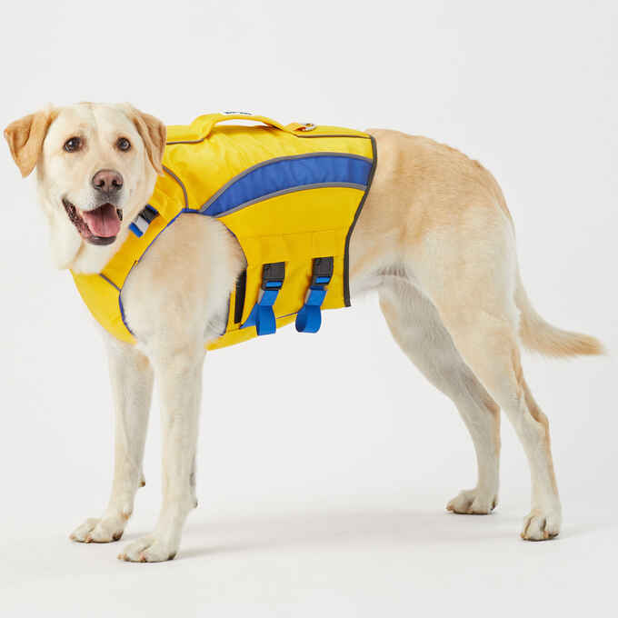 Monterey Bay Canine Life Jacket | Duluth Trading Company