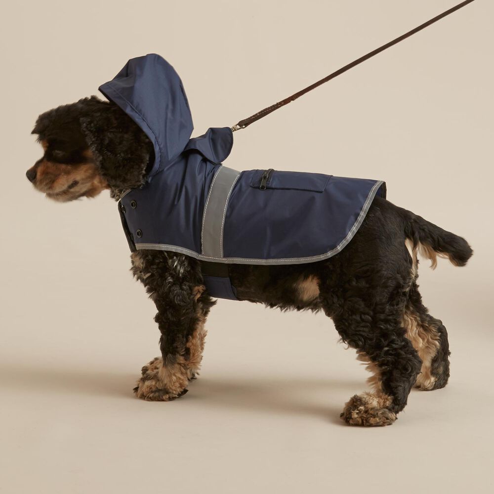 Scout's Packable Dog Rain Jacket | Duluth Trading Company