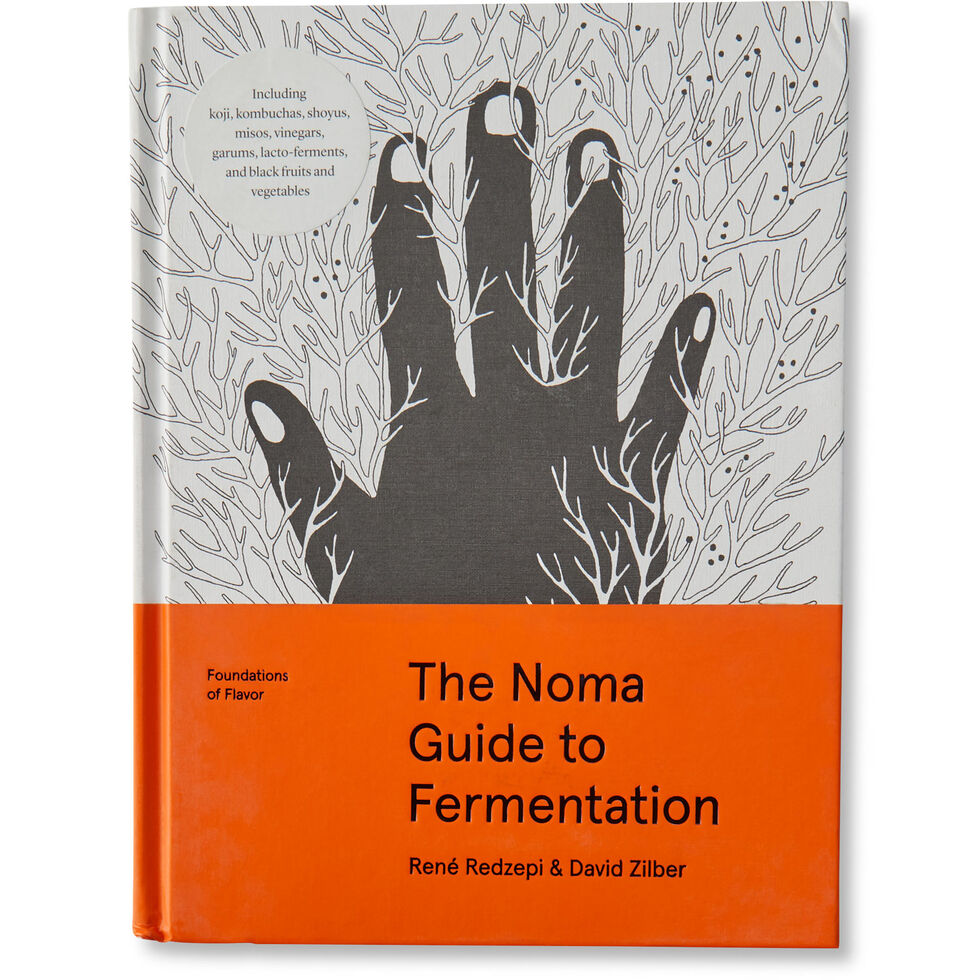 noma guidelines