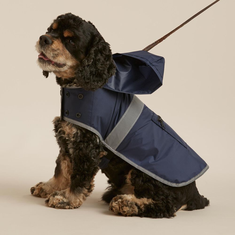 Scout's Packable Dog Rain Jacket | Duluth Trading Company