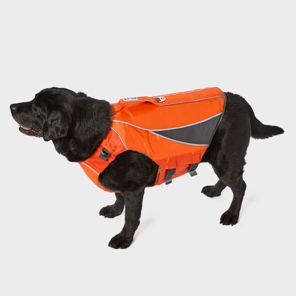 dog life jacket   aldi