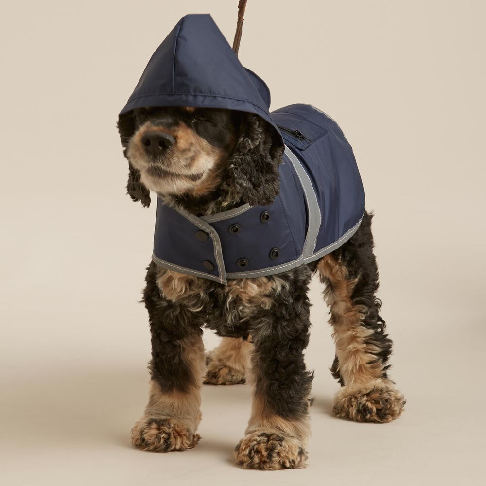 Scout's Packable Dog Rain Jacket | Duluth Trading Company