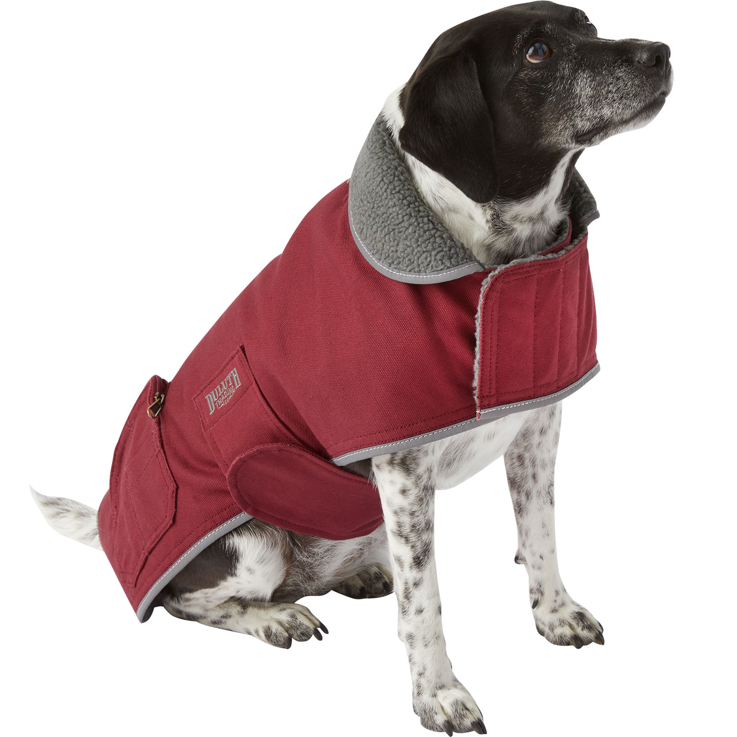 Fire Hose Dog Jacket | Duluth Trading Company